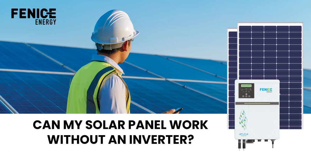 Blog – Fenice Energy