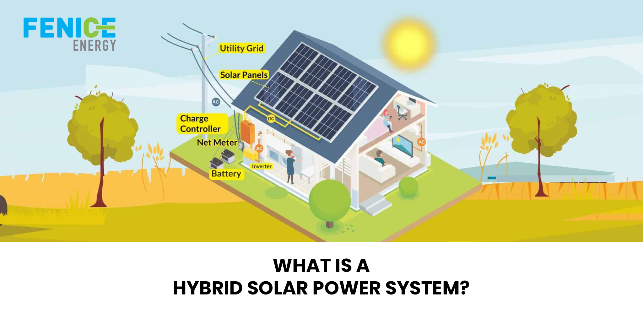 Top 5 Things You Should Consider Before Opting for Solar – Fenice Energy