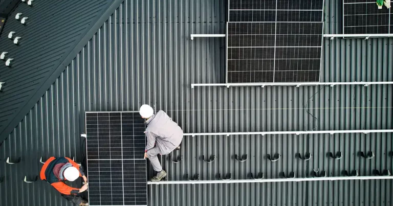 Solar Greenhouses: Harnessing Renewable Energy | Fenice Energy