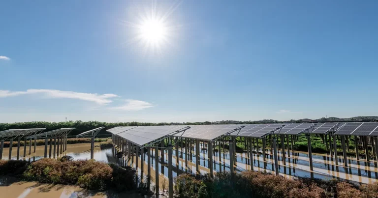 Electric Flight: A Sustainable Future for Air Travel